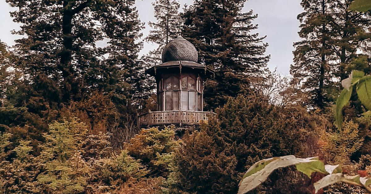 Paris in autumn: nature and art in the French parks and gardens ...